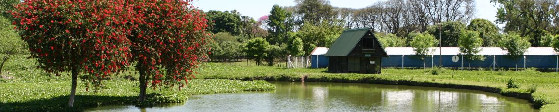 Facultad de Ciencias Veterinarias